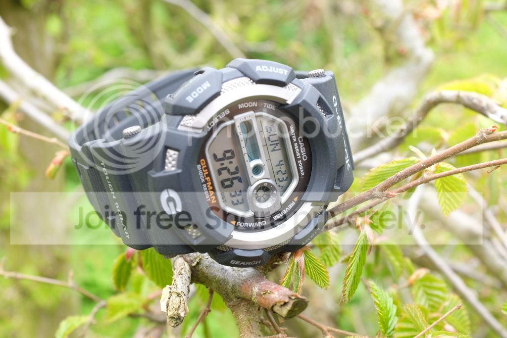 is GW-9100MB rare ? | WatchUSeek Watch Forums