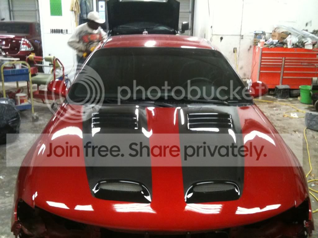 Banshee Hood - Carbon Fiber | Page 3 | LS1GTO Forums